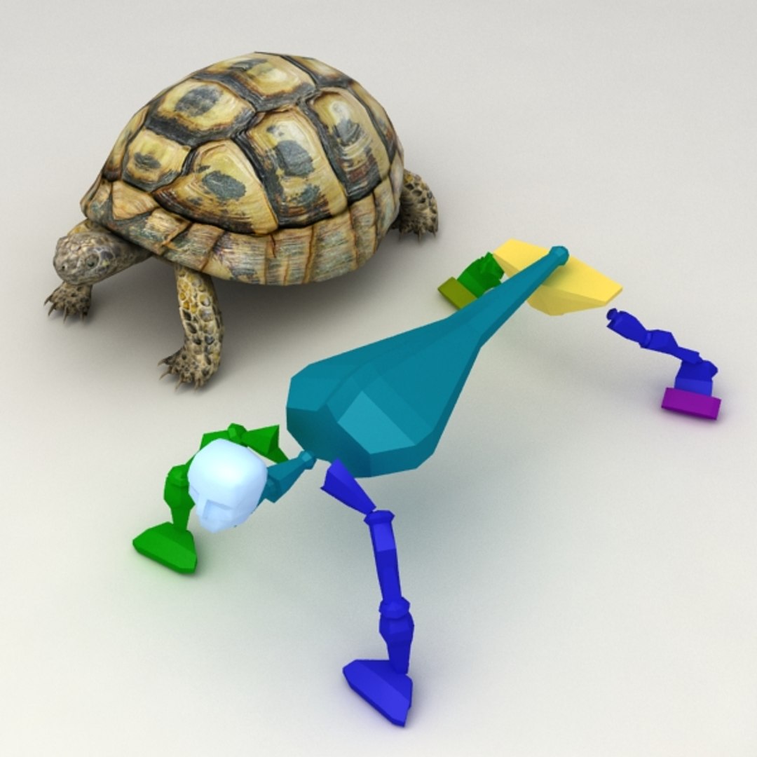 3d Turtle Rigged Biped