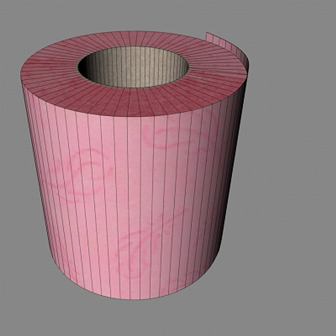 Toilet Paper 3d Model