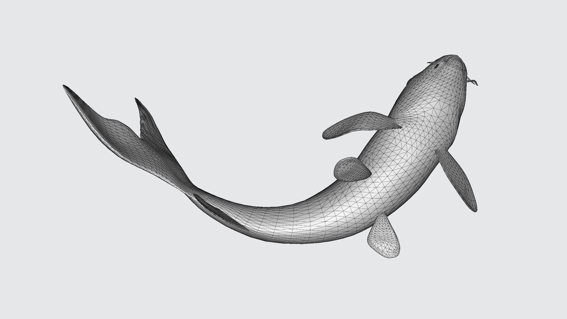 3D Koi Fish Model - TurboSquid 2300760