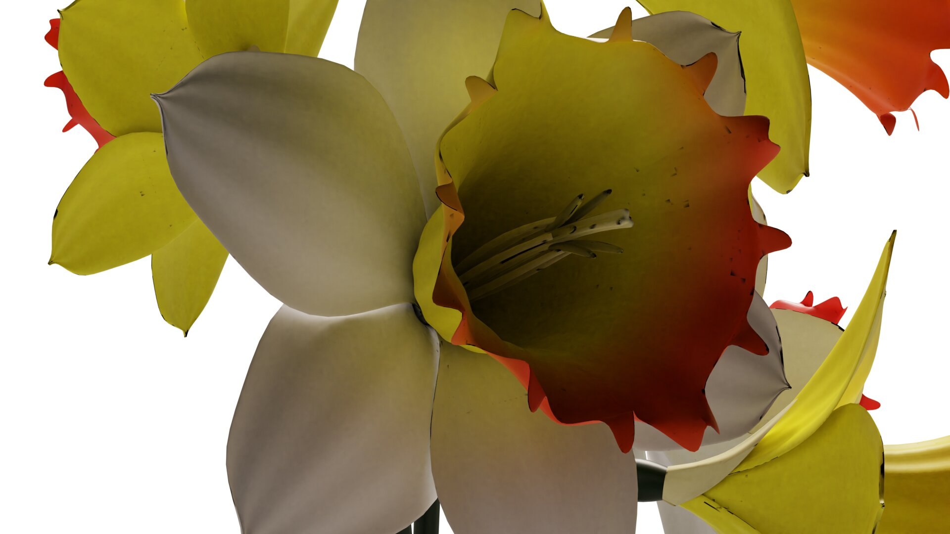 3D Bunch Daffodils - TurboSquid 1704262