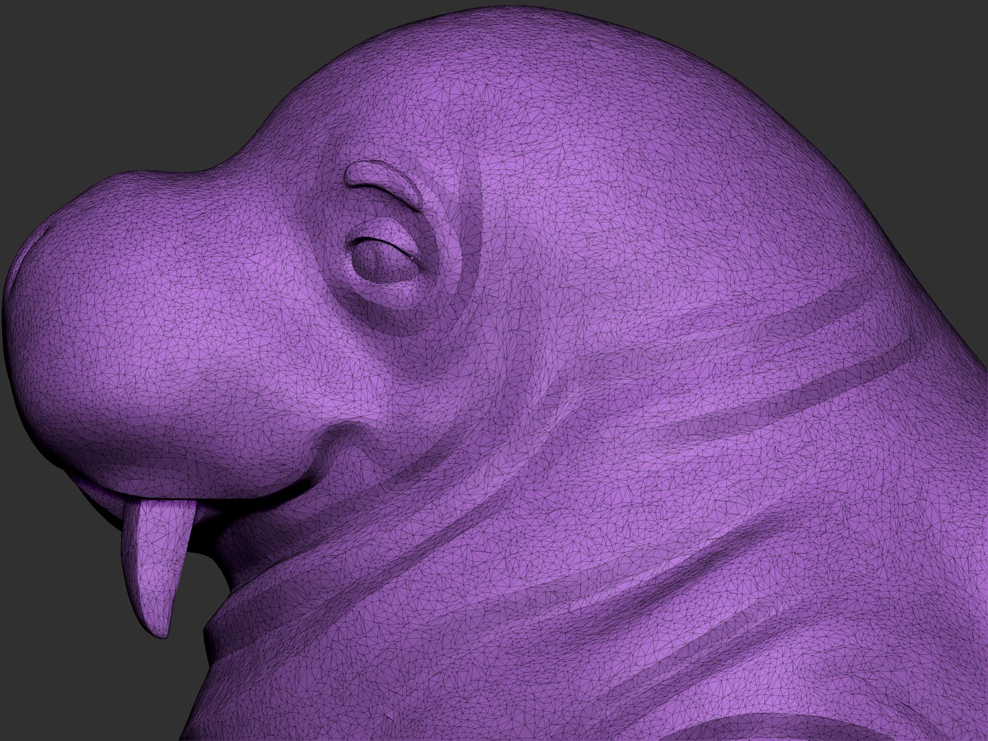 Seal 3D Model - TurboSquid 2168784