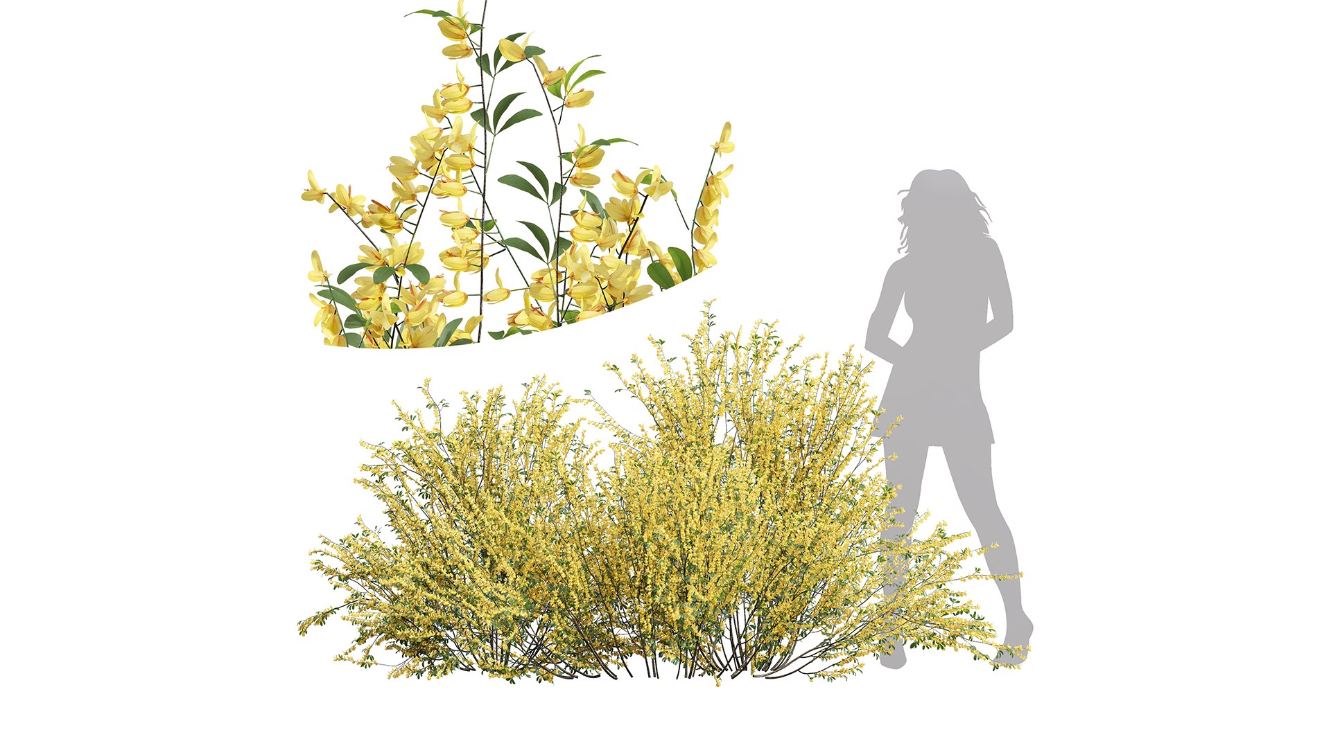 8Different SETS Of Bush Set Vol 46 3D - TurboSquid 2241337