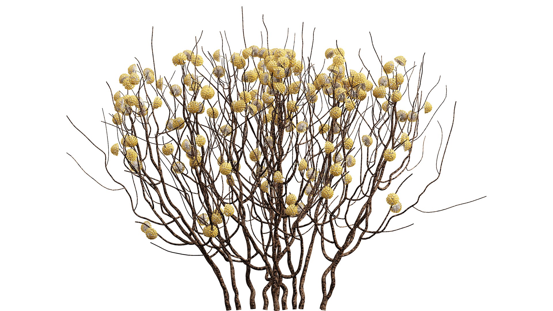 8Different SETS Of Bush Set Vol 46 3D - TurboSquid 2241337