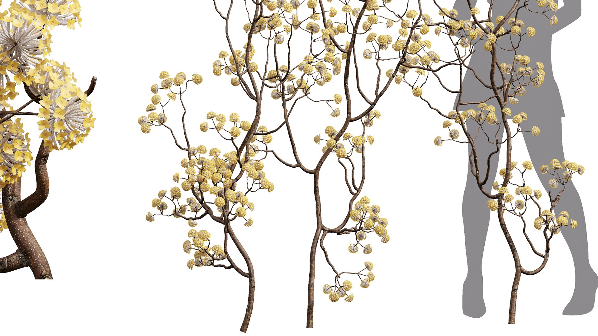 8Different SETS Of Bush Set Vol 46 3D - TurboSquid 2241337