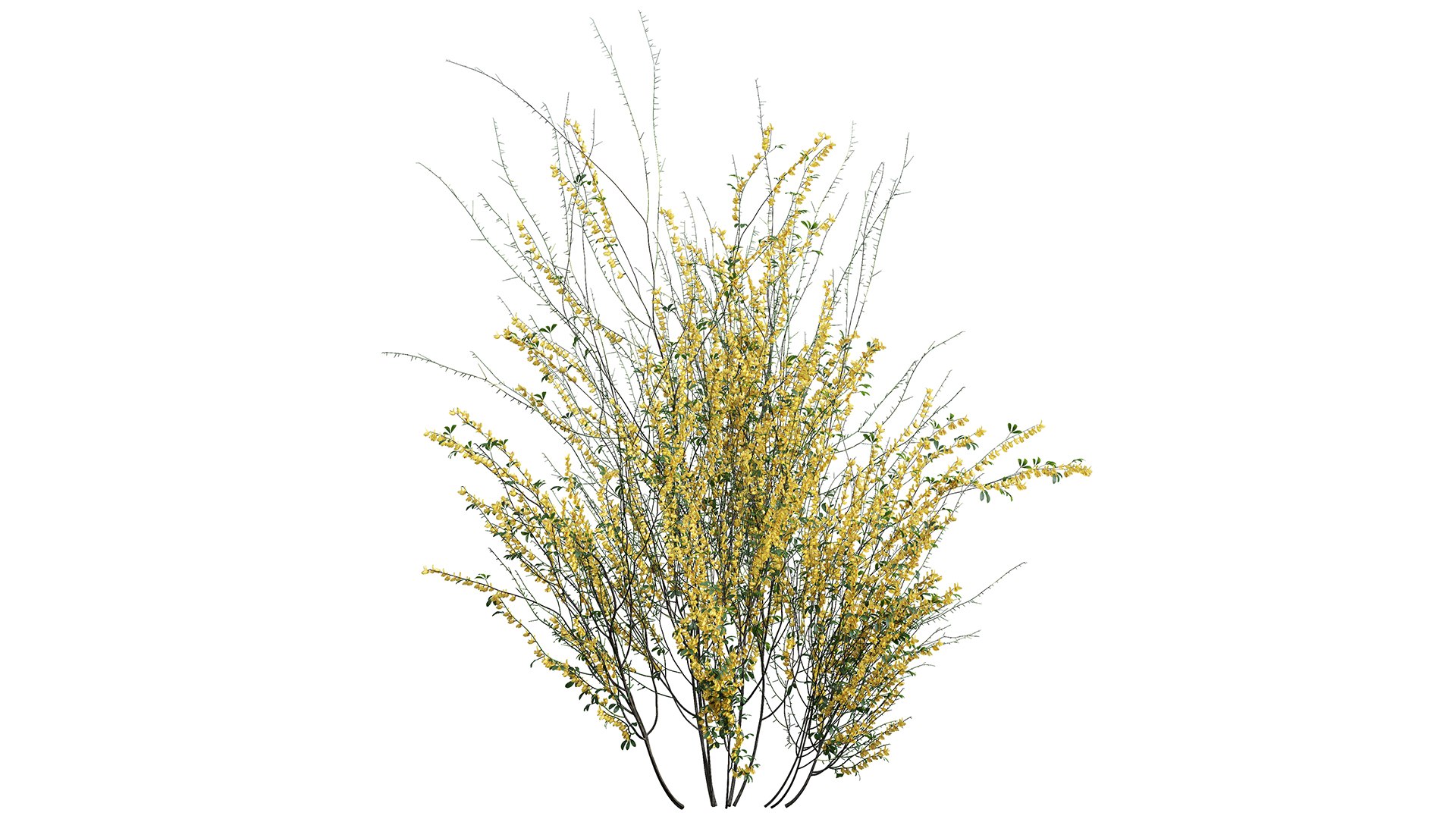 8Different SETS Of Bush Set Vol 46 3D - TurboSquid 2241337