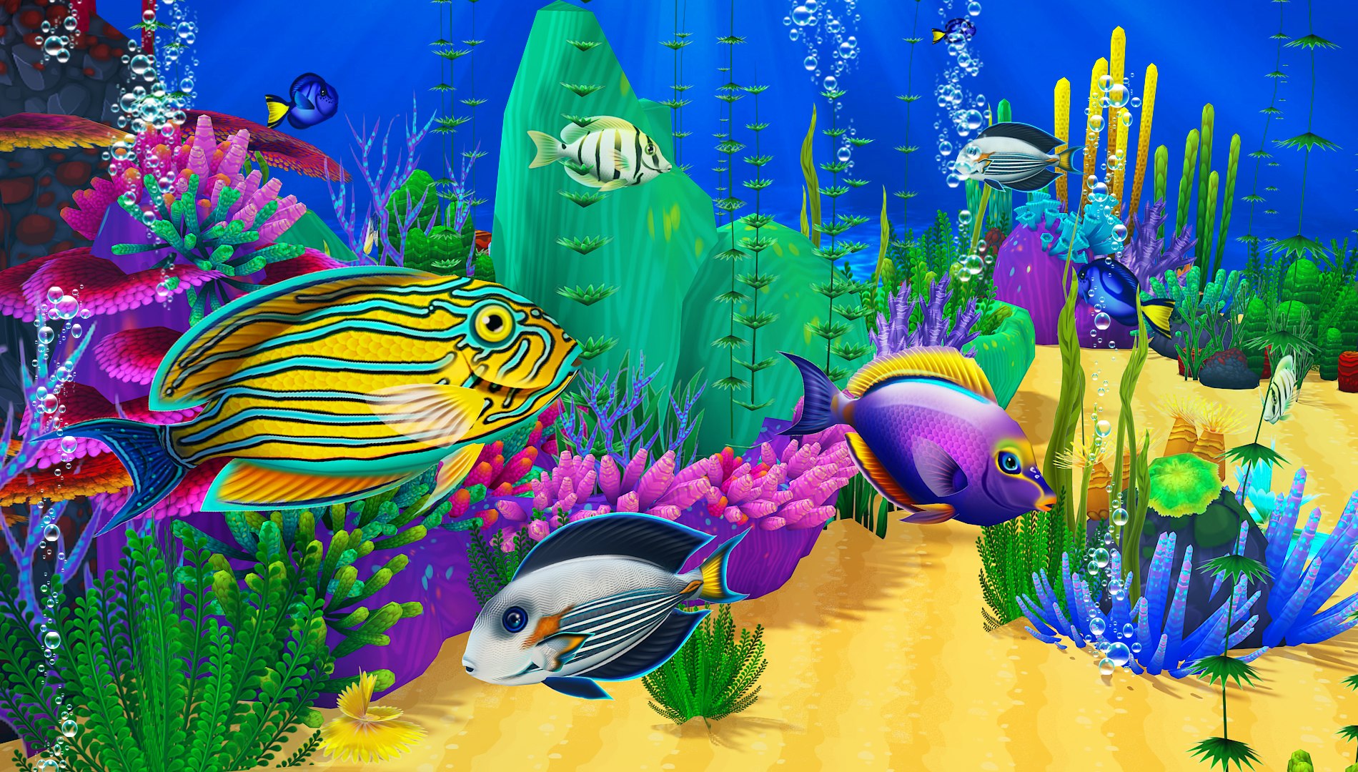 3d Tang Fish Aquarium