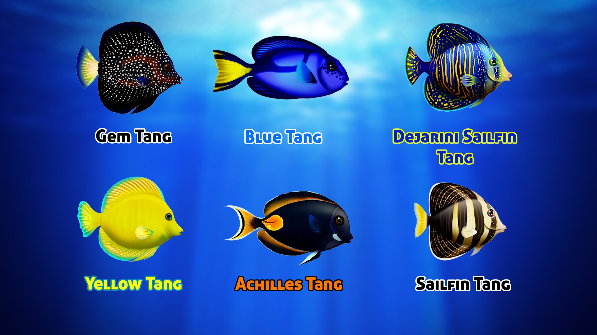 3d Tang Fish Aquarium