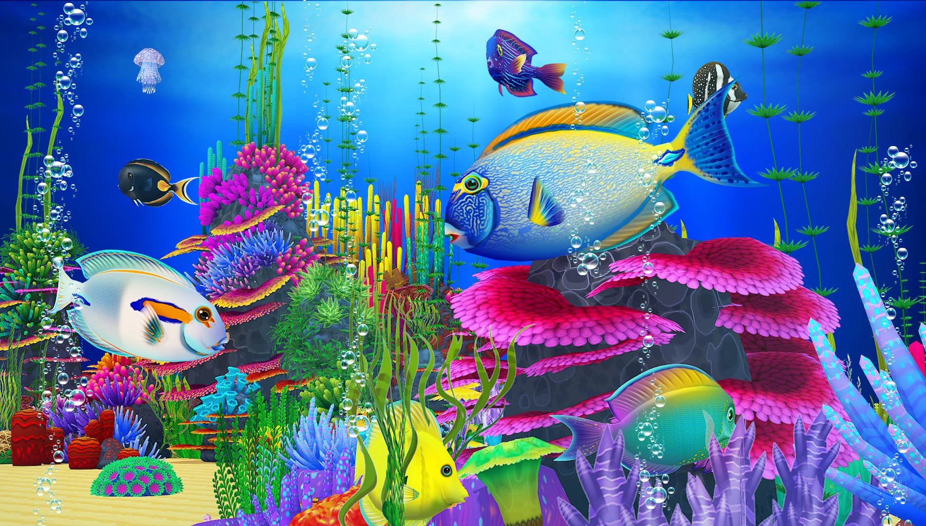 3d Tang Fish Aquarium