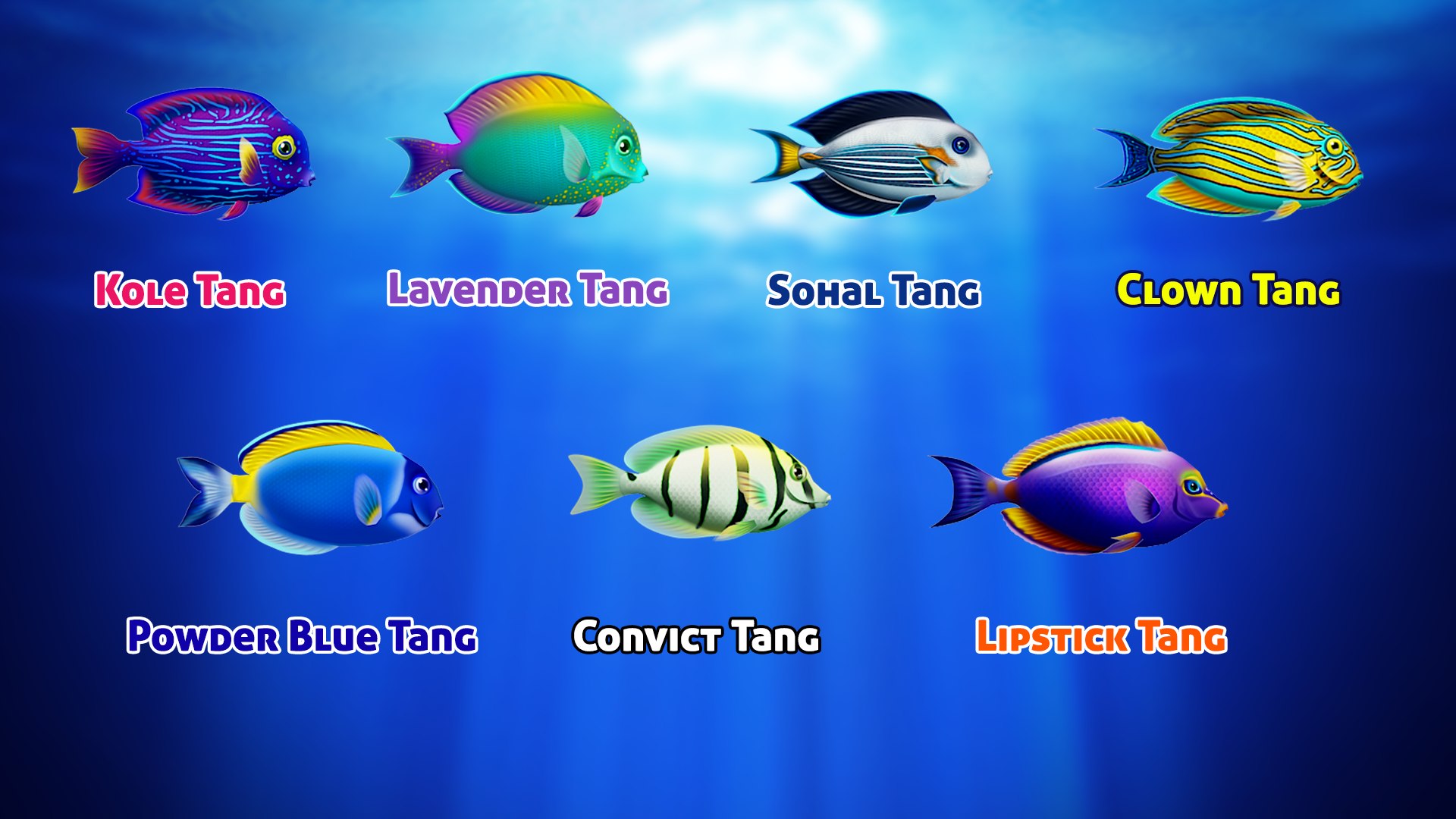 3d Tang Fish Aquarium