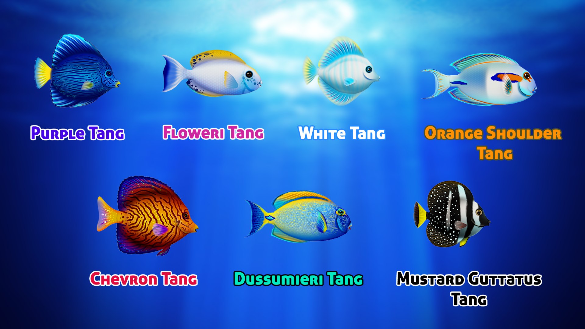 3d Tang Fish Aquarium