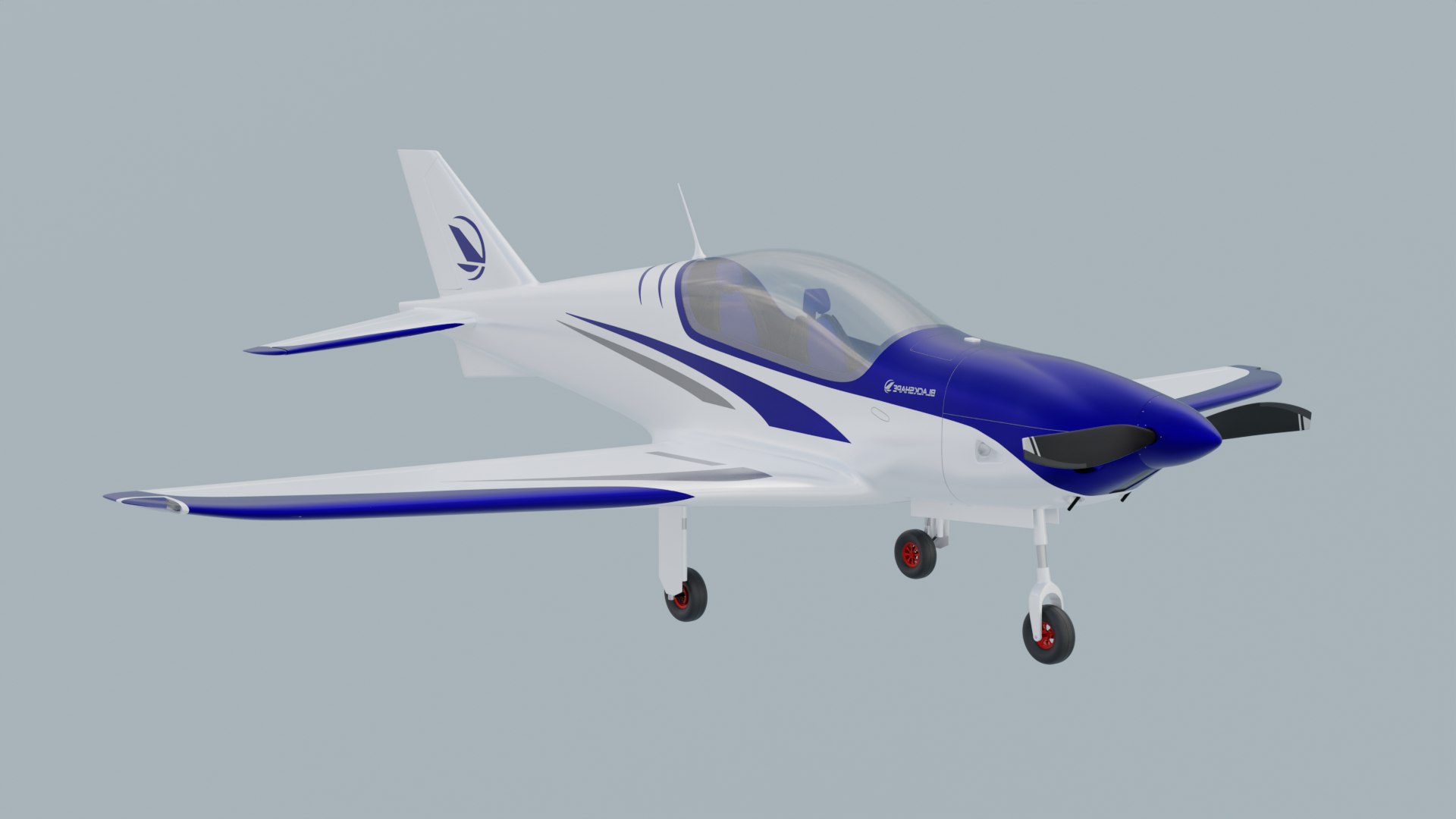 3D Model Airplane Blackshape - TurboSquid 2145339