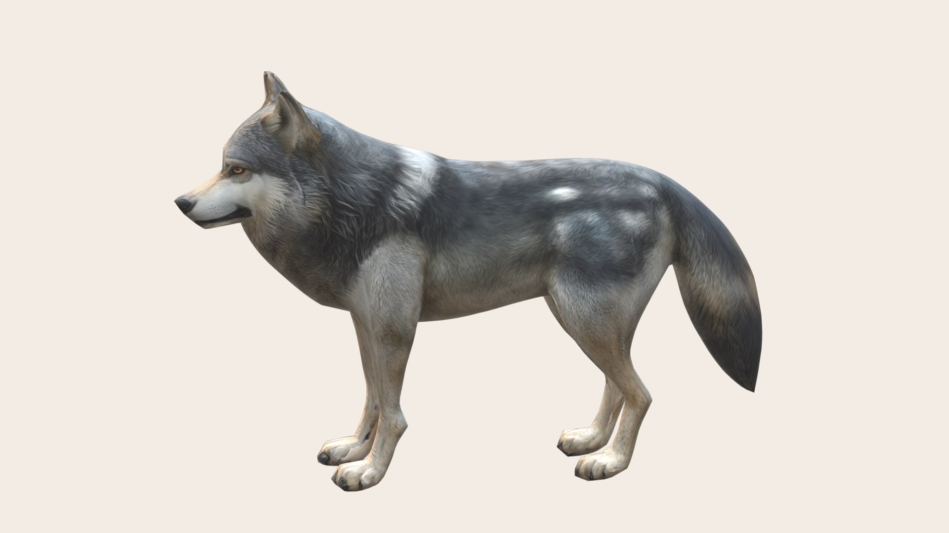 3D Wolf Model - TurboSquid 2219653
