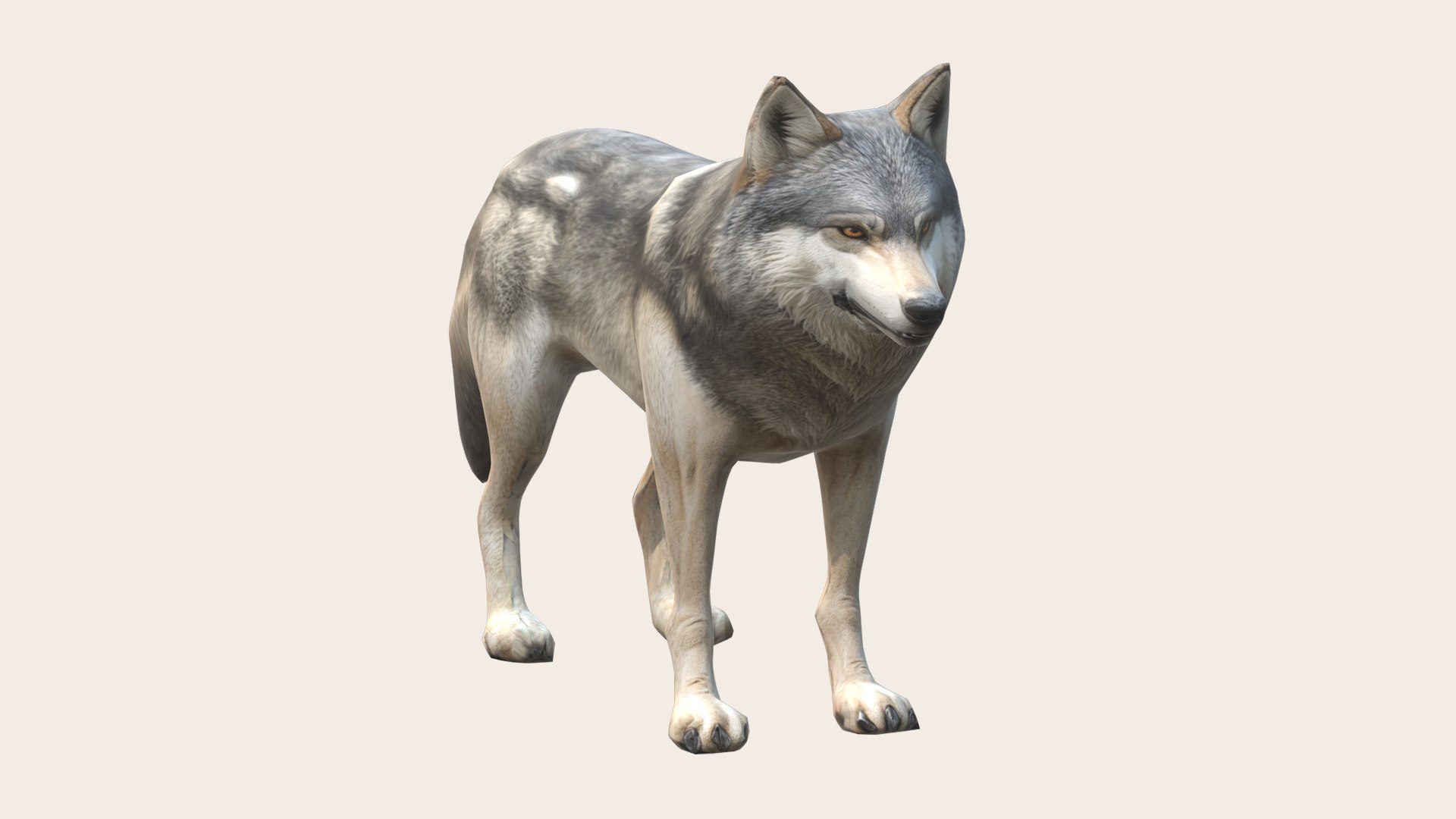 3D Wolf Model - TurboSquid 2219653