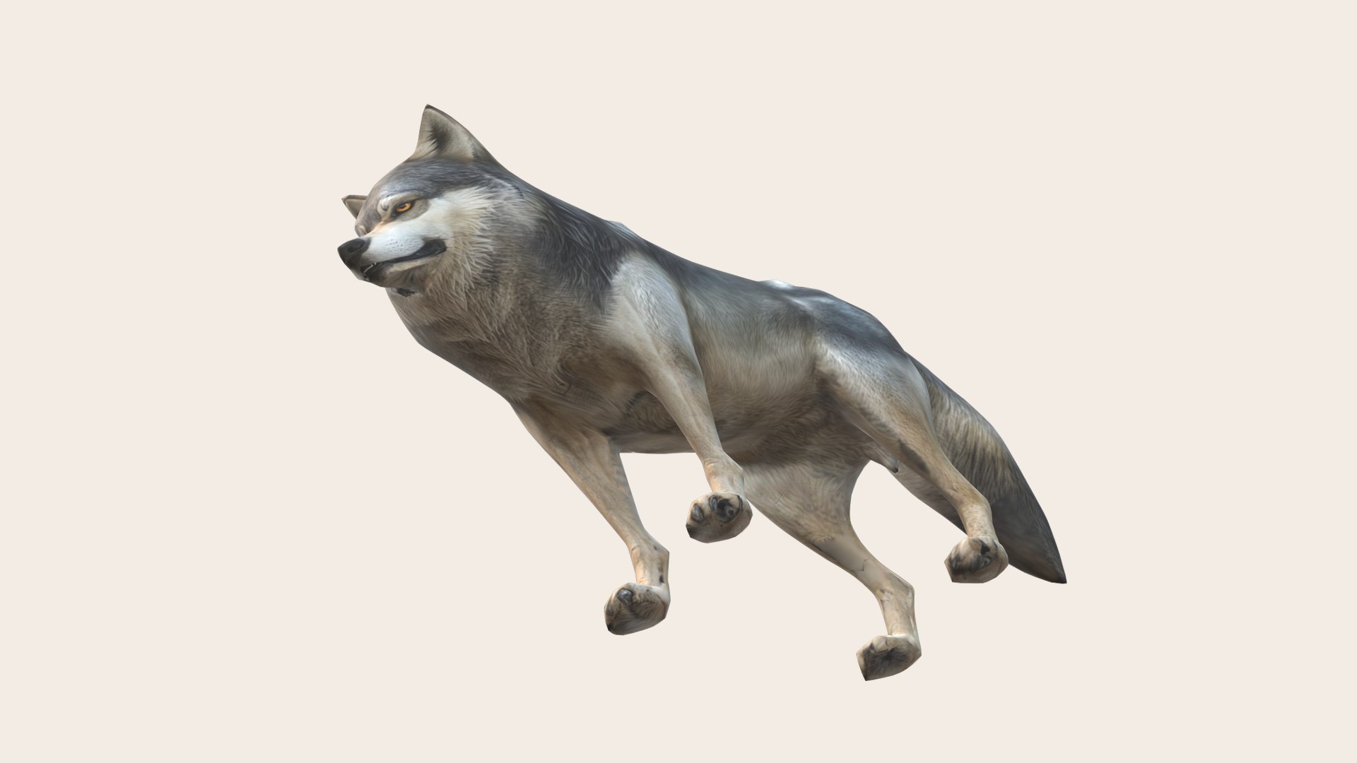 3D Wolf Model - TurboSquid 2219653