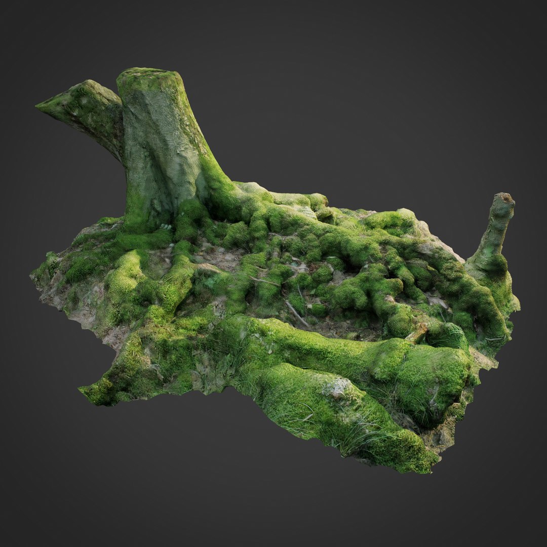 Dead forest asset pack 3D model - TurboSquid 1244677