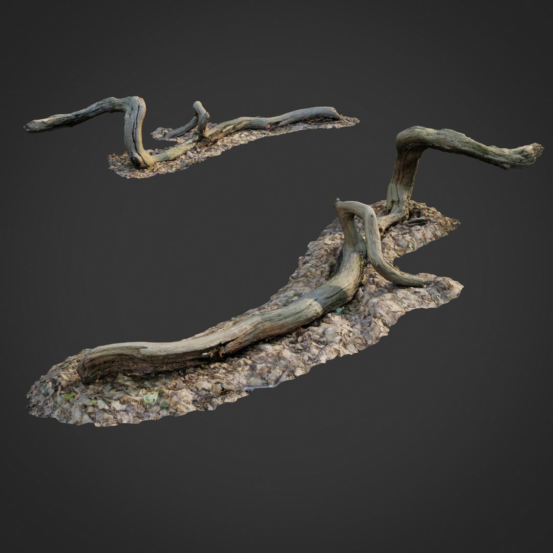 Dead forest asset pack 3D model - TurboSquid 1244677