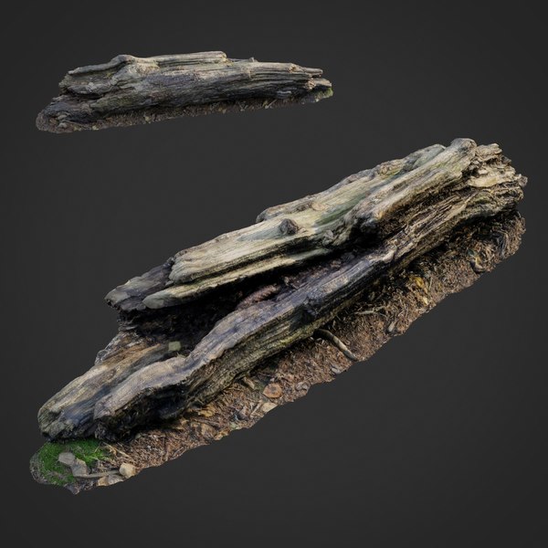 Dead forest asset pack 3D model - TurboSquid 1244677