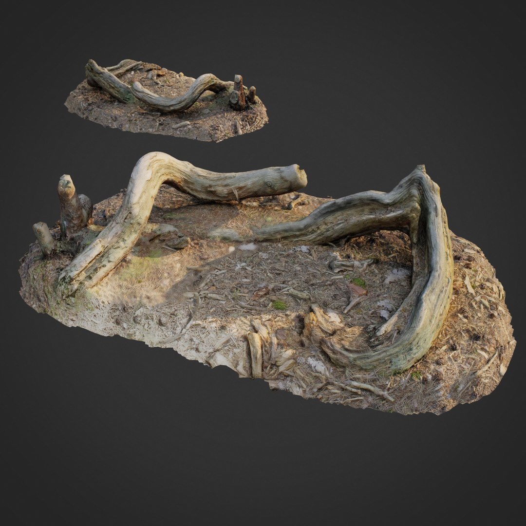 Dead forest asset pack 3D model - TurboSquid 1244677