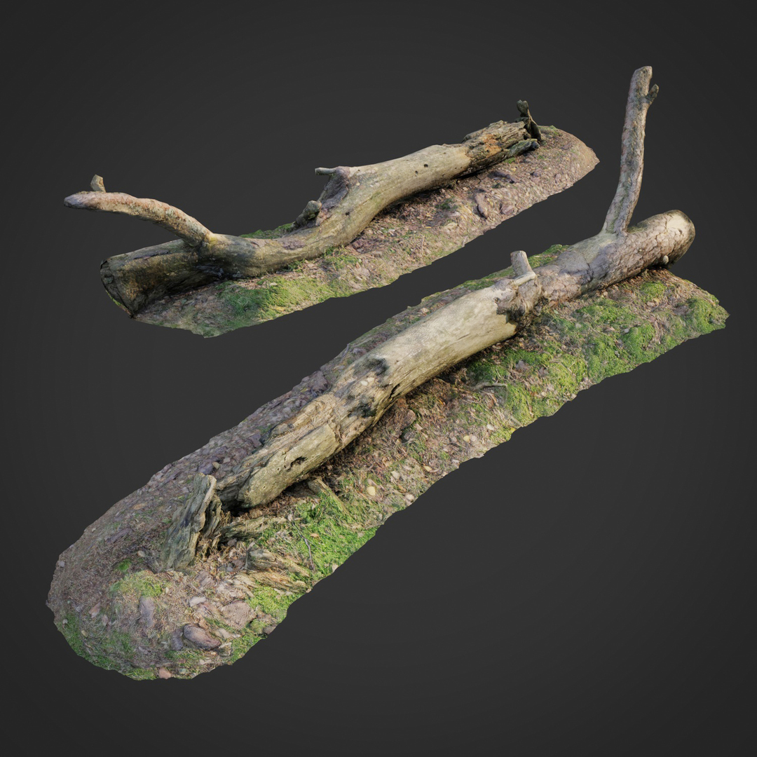 Dead forest asset pack 3D model - TurboSquid 1244677