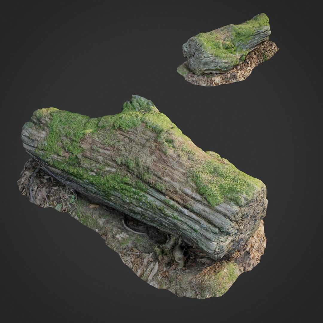 Dead forest asset pack 3D model - TurboSquid 1244677