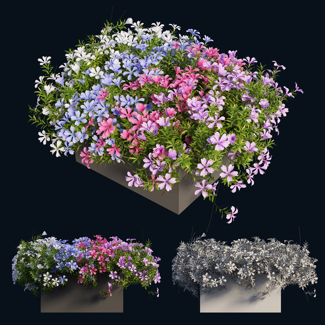 3D Plant Flower Set 03 - TurboSquid 1533528