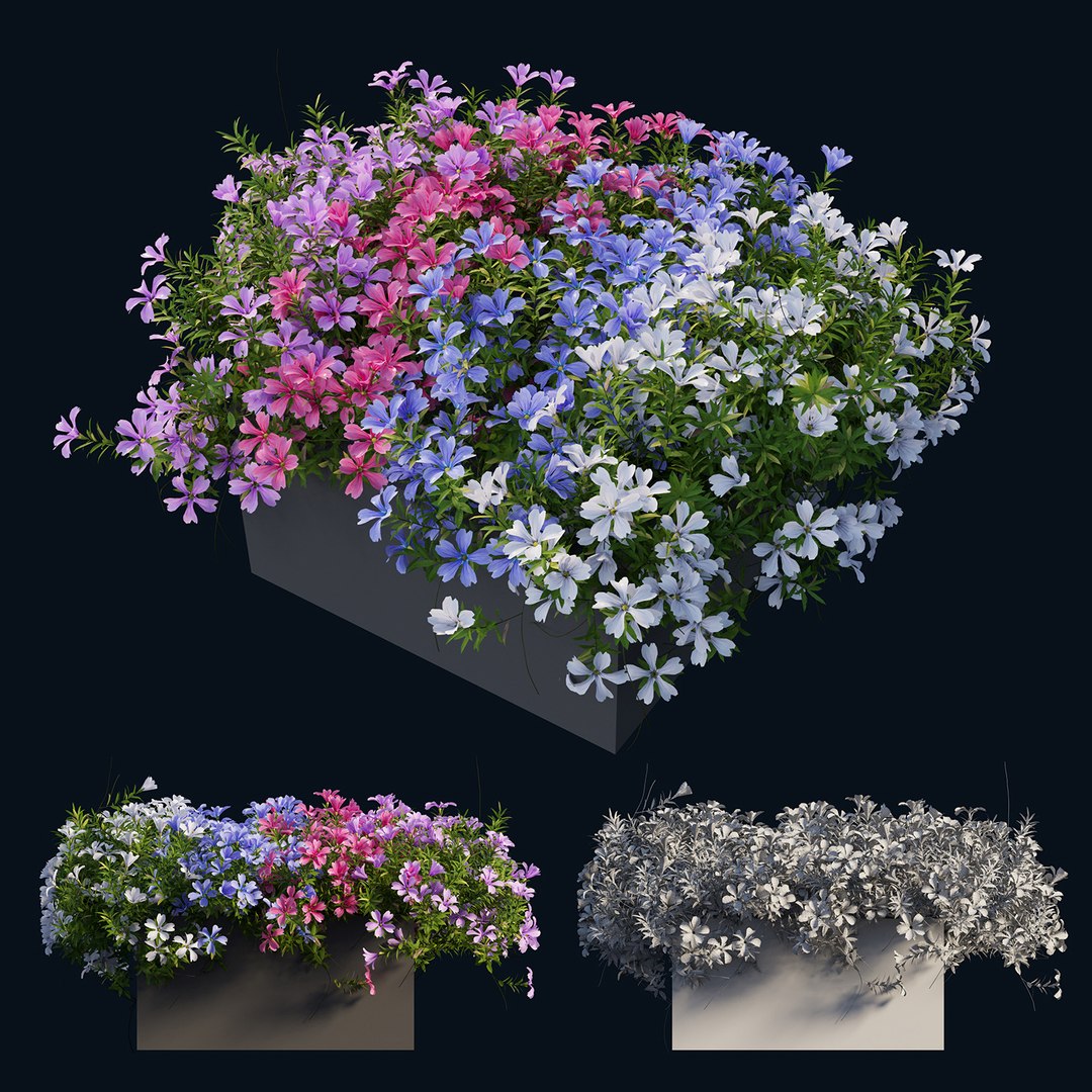 3D Plant Flower Set 03 - TurboSquid 1533528