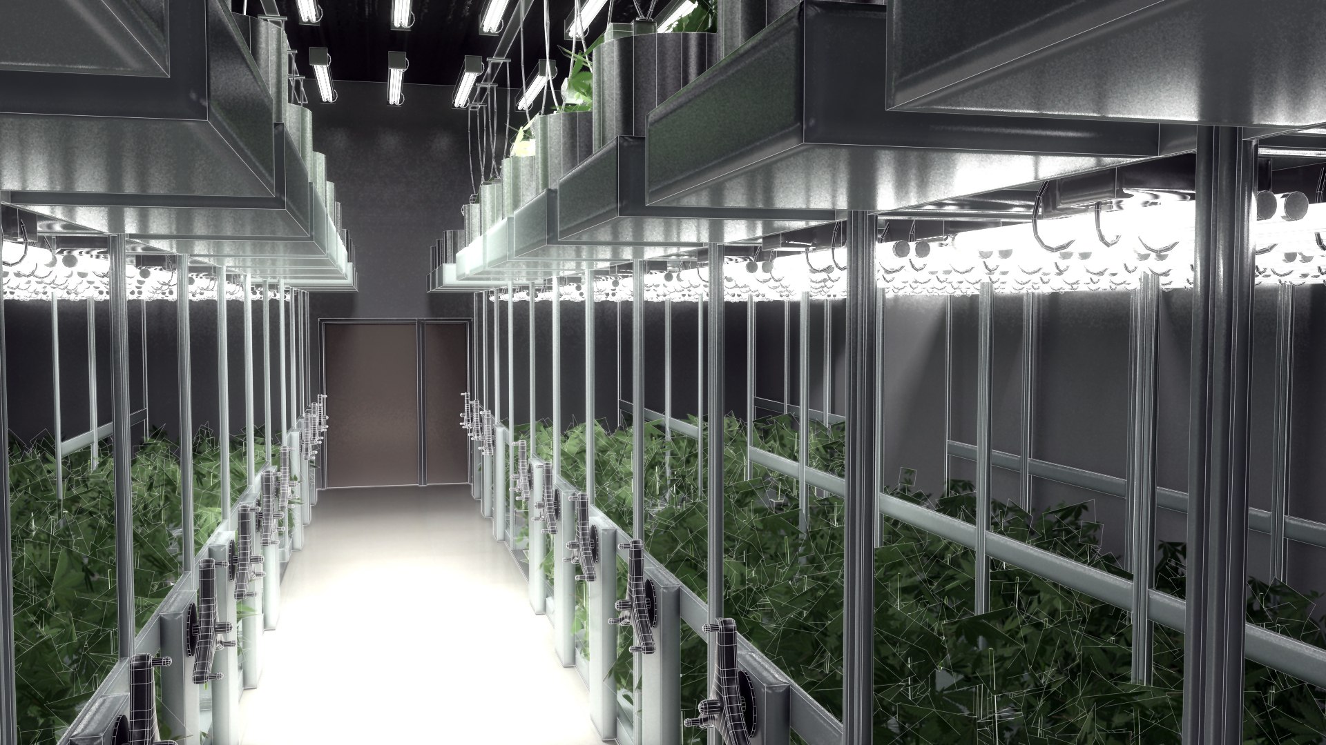 Cannabis Production Facility 3D - TurboSquid 1366533