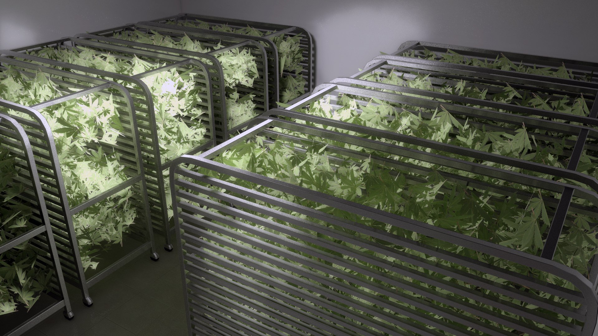 Cannabis Production Facility 3D - TurboSquid 1366533
