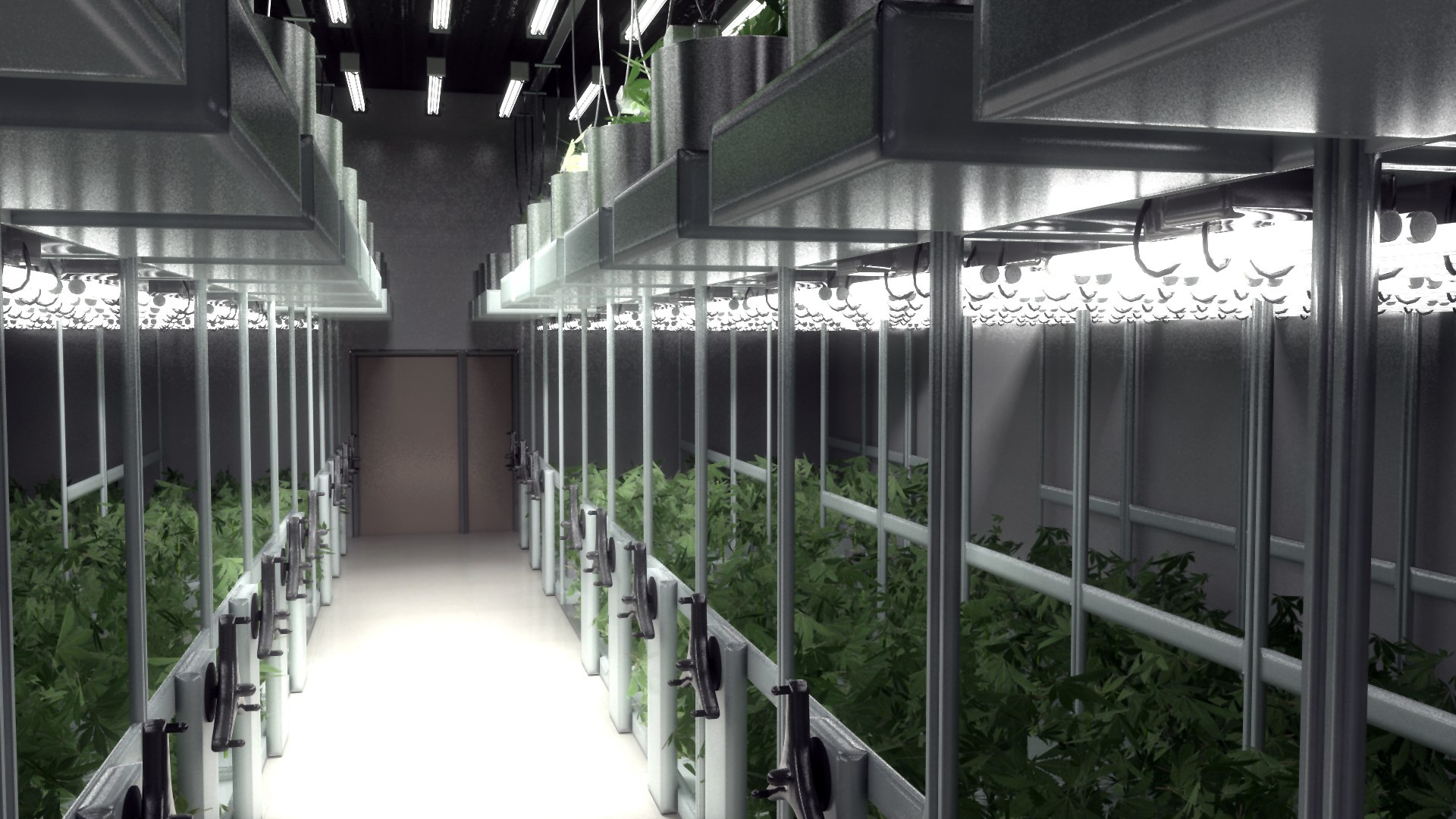 Cannabis Production Facility 3D - TurboSquid 1366533