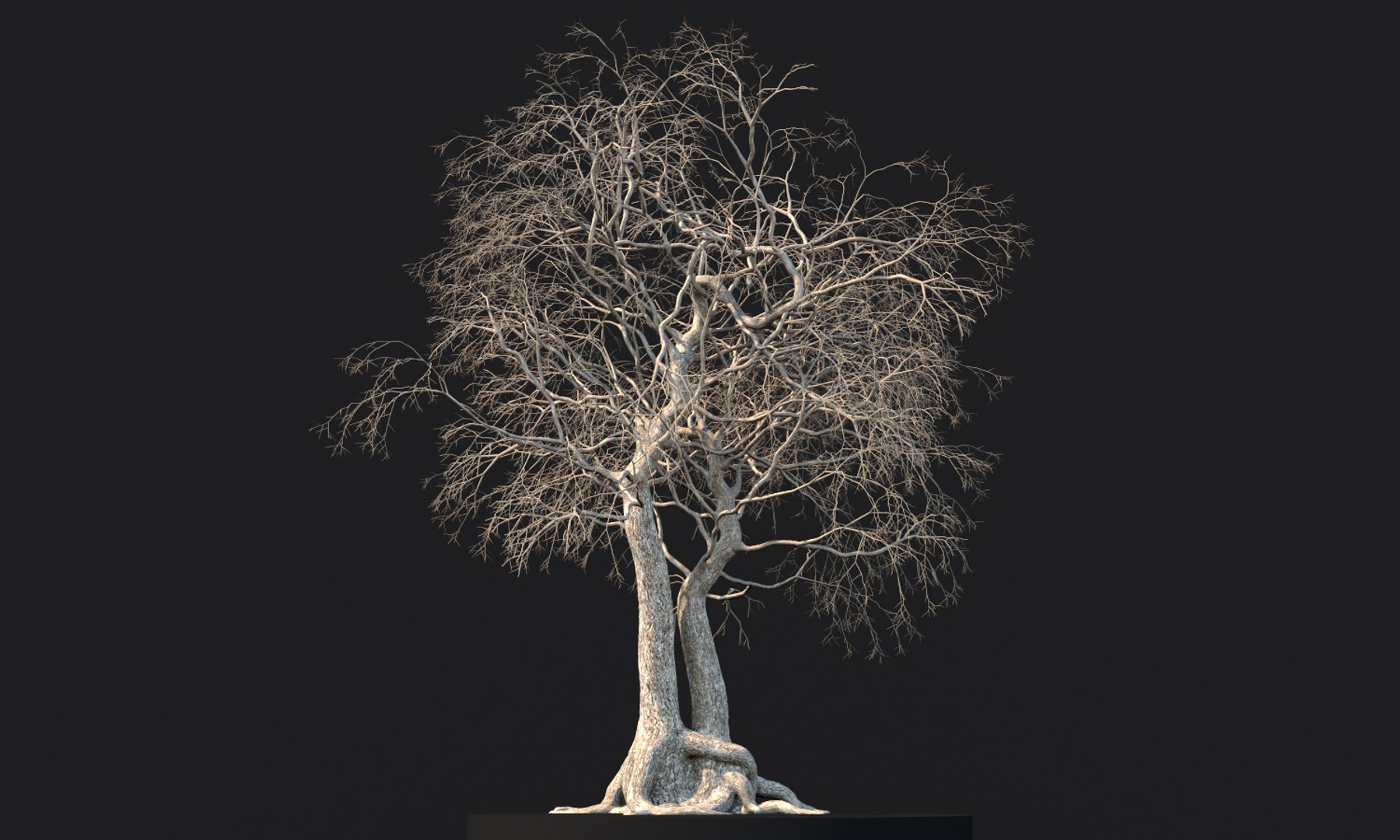 Dead Tree 3D - TurboSquid 1463696