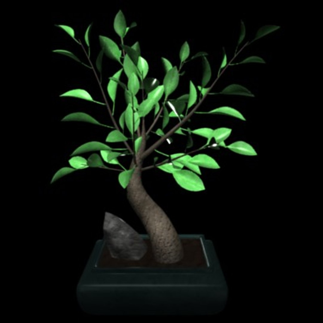 4 bonsai trees 3d max