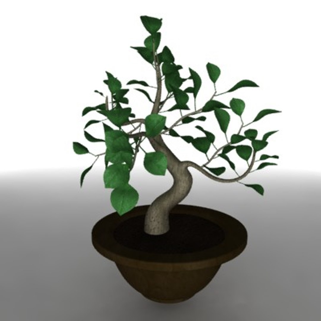 4 bonsai trees 3d max