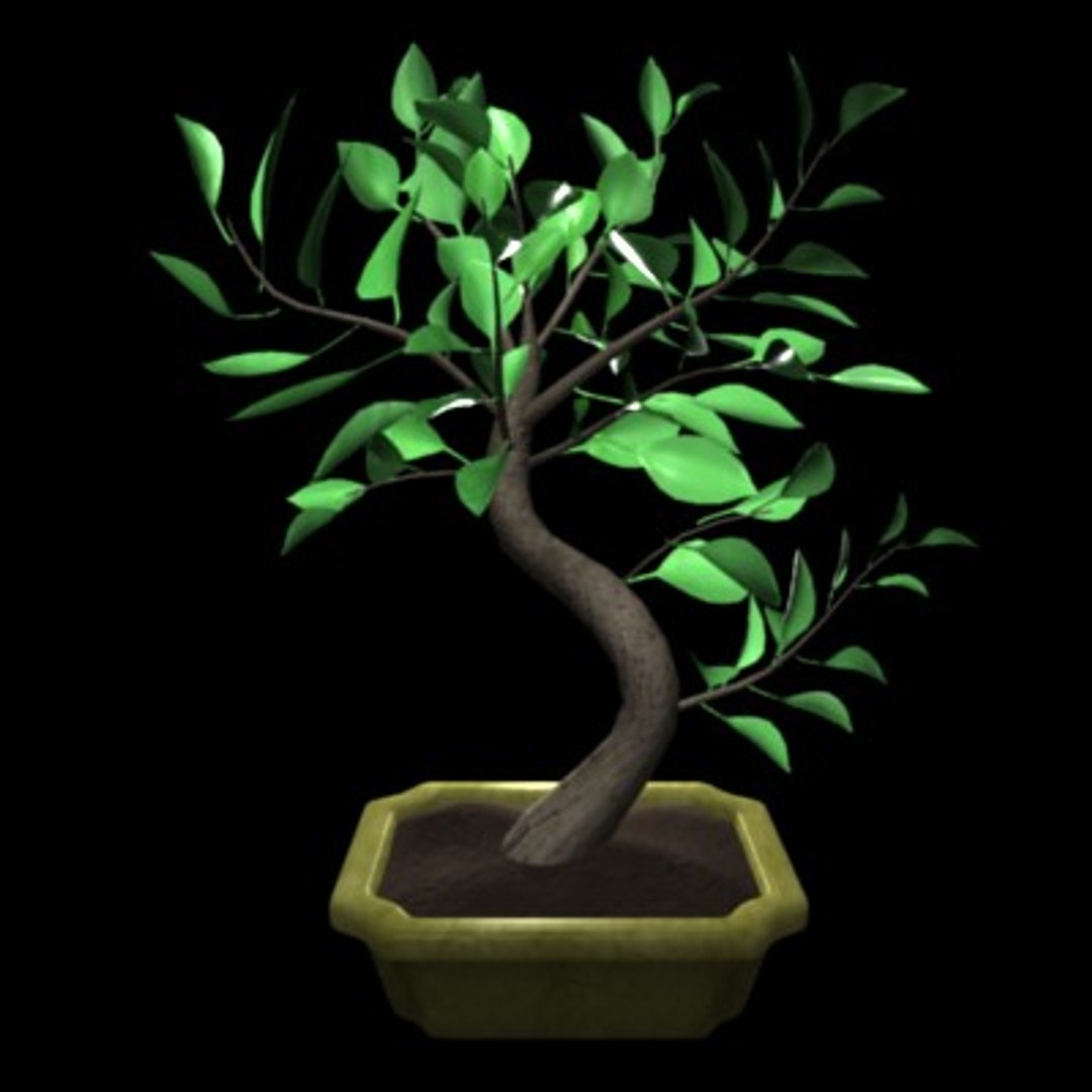 4 bonsai trees 3d max