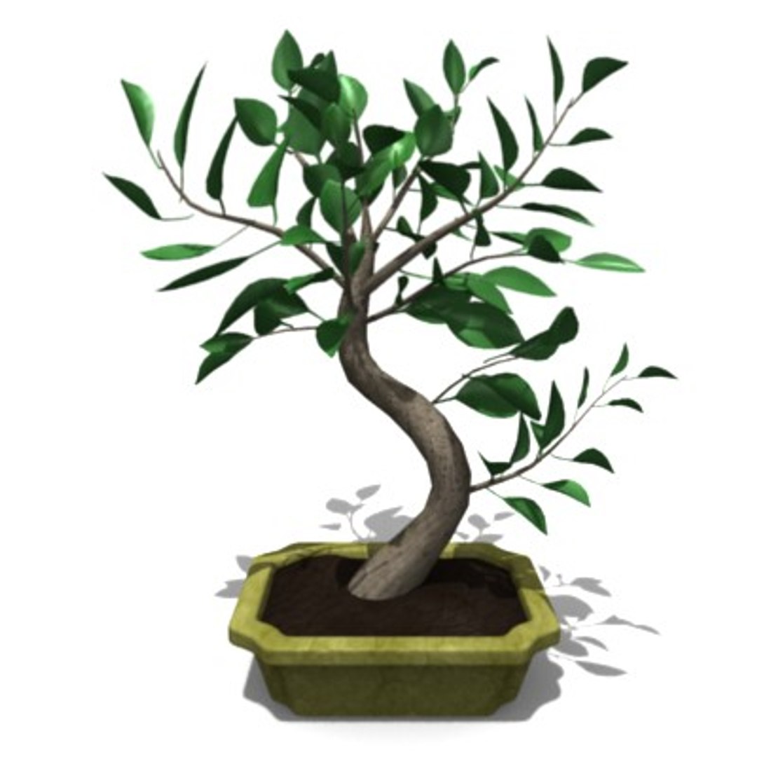 4 bonsai trees 3d max