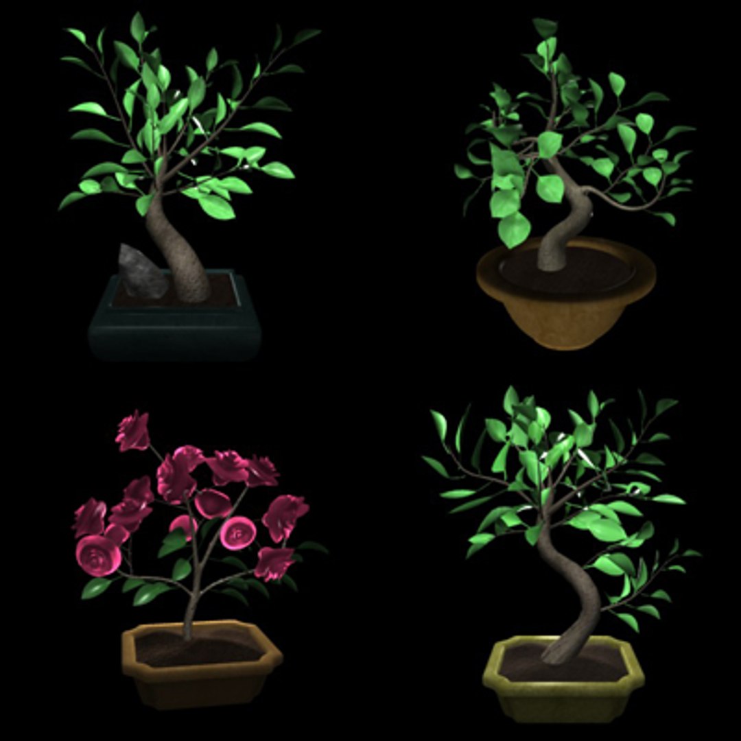 4 bonsai trees 3d max