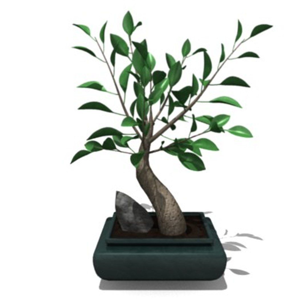 4 bonsai trees 3d max