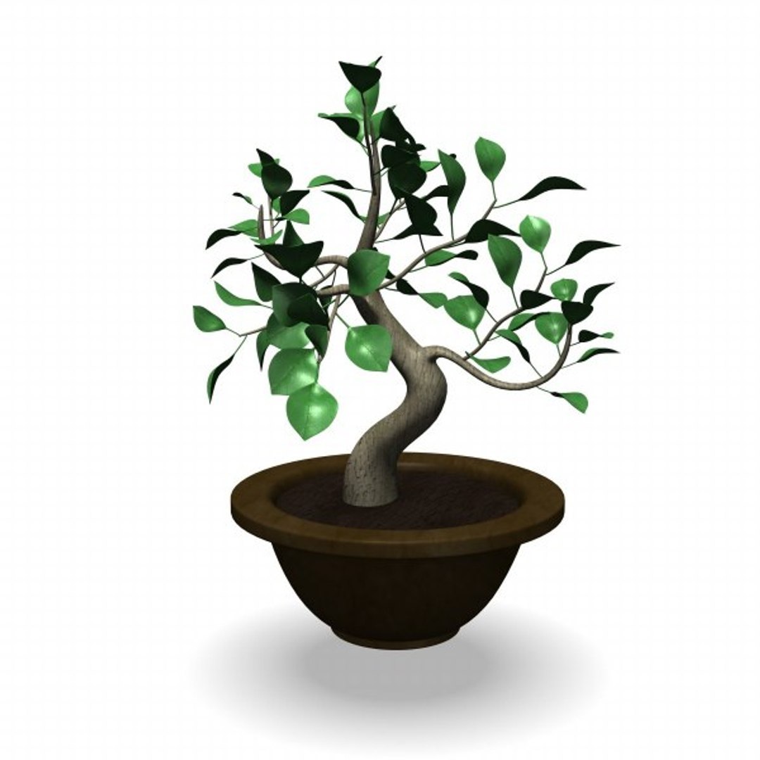 4 bonsai trees 3d max