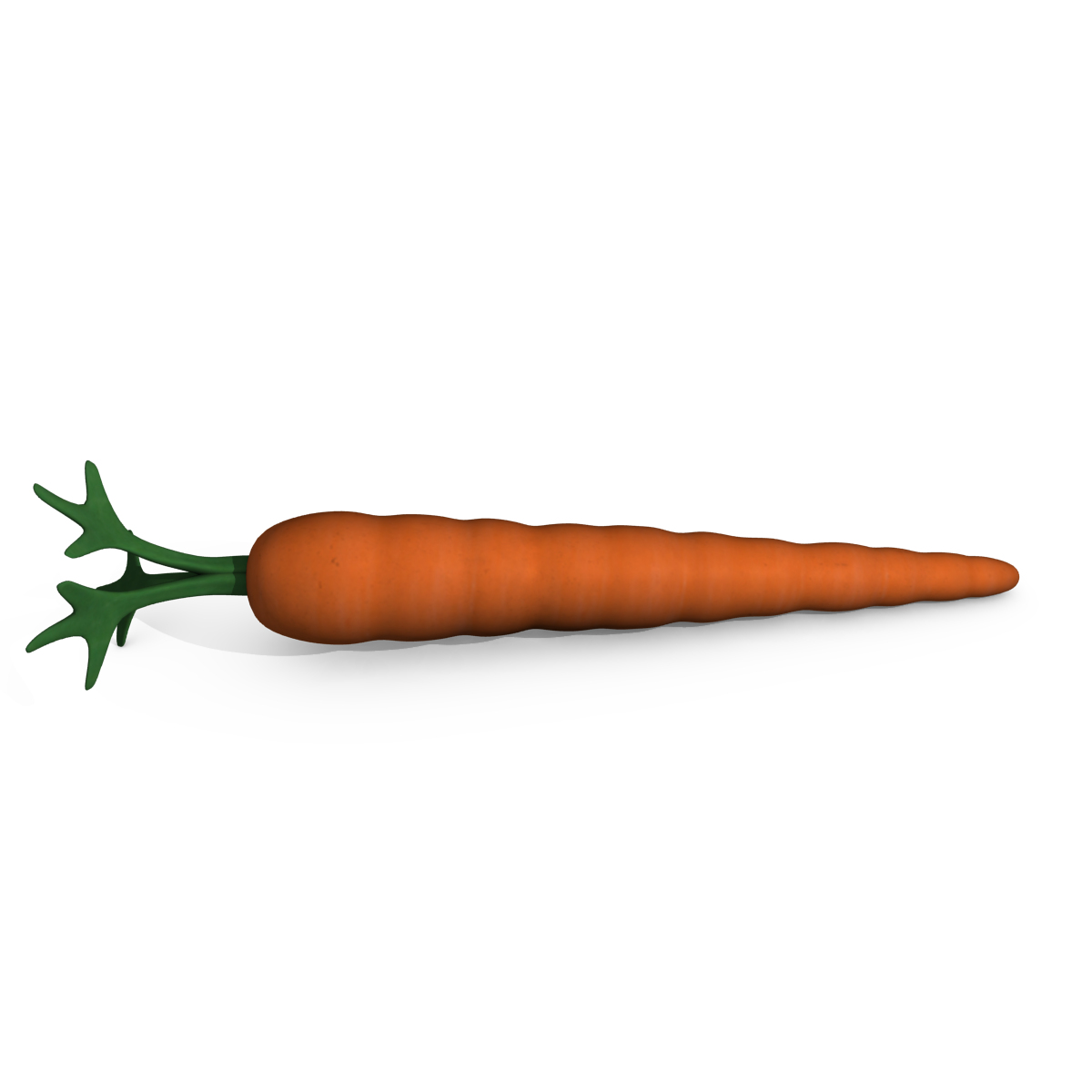 carrot 3d model