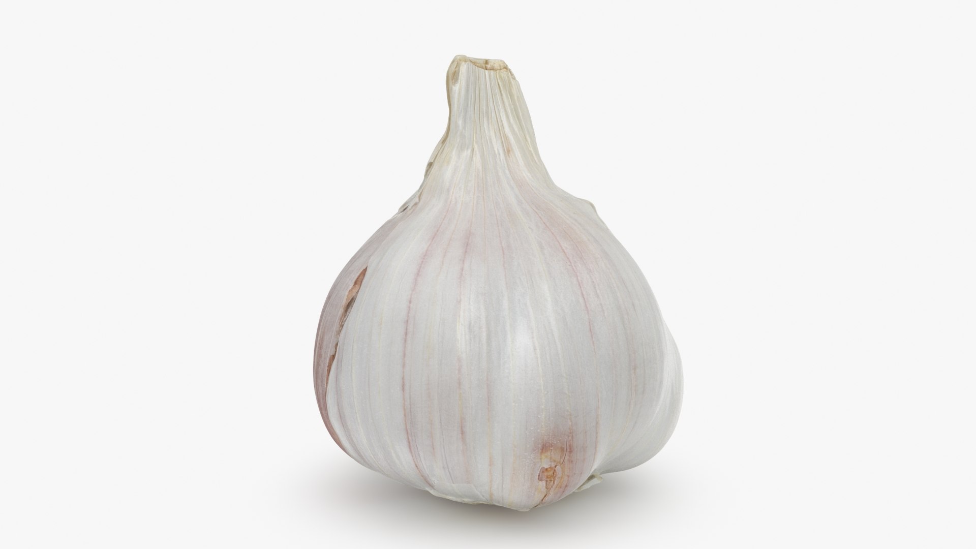 Garlic 01 3D Model - TurboSquid 2281209
