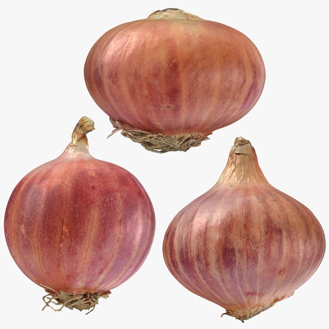 3D Model Shallot Collection - TurboSquid 2210905