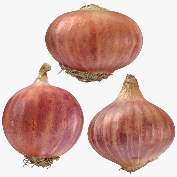 modelo 3d Colección de chalotes - TurboSquid 2210905