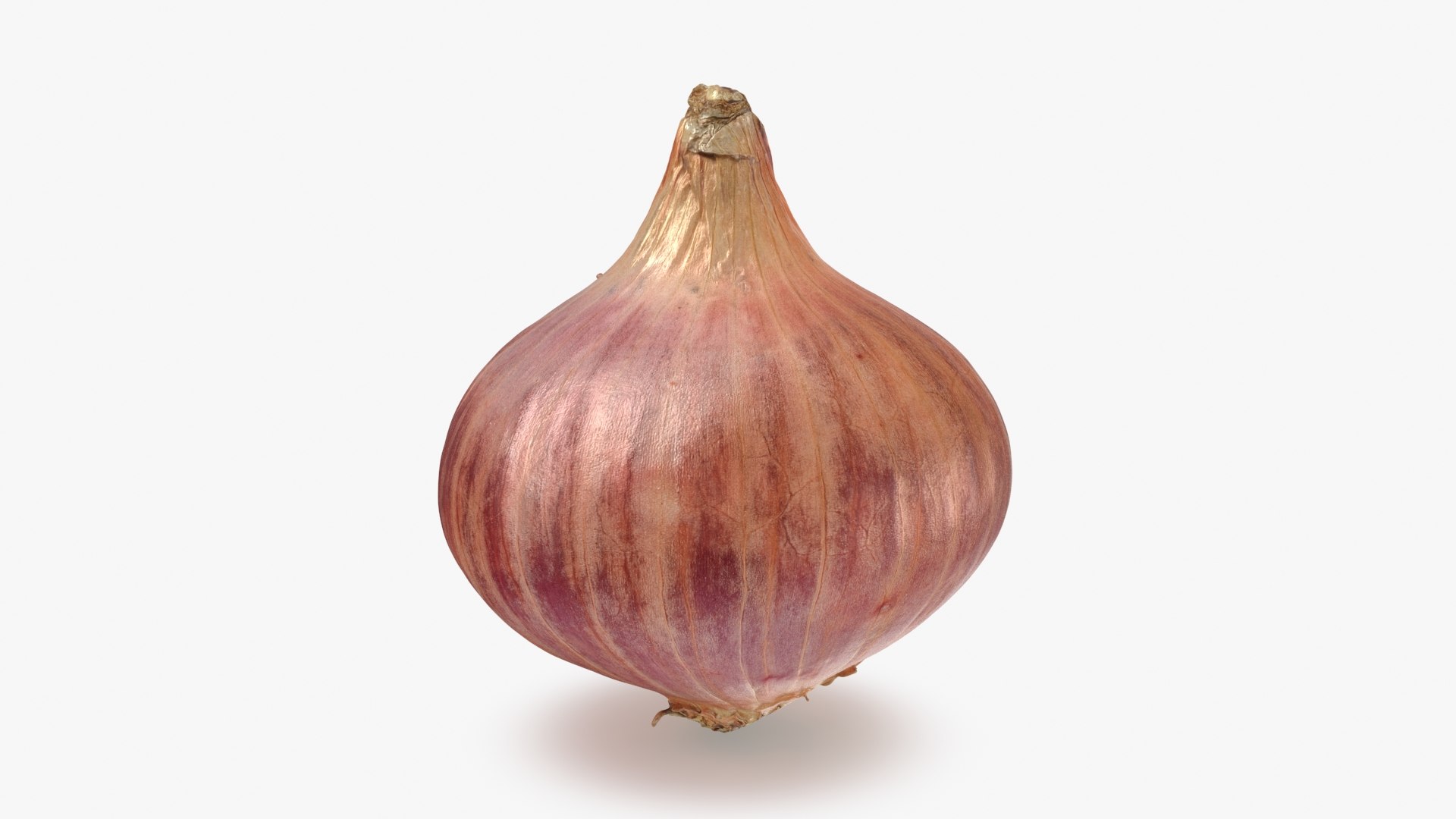 3D Model Shallot Collection - TurboSquid 2210905