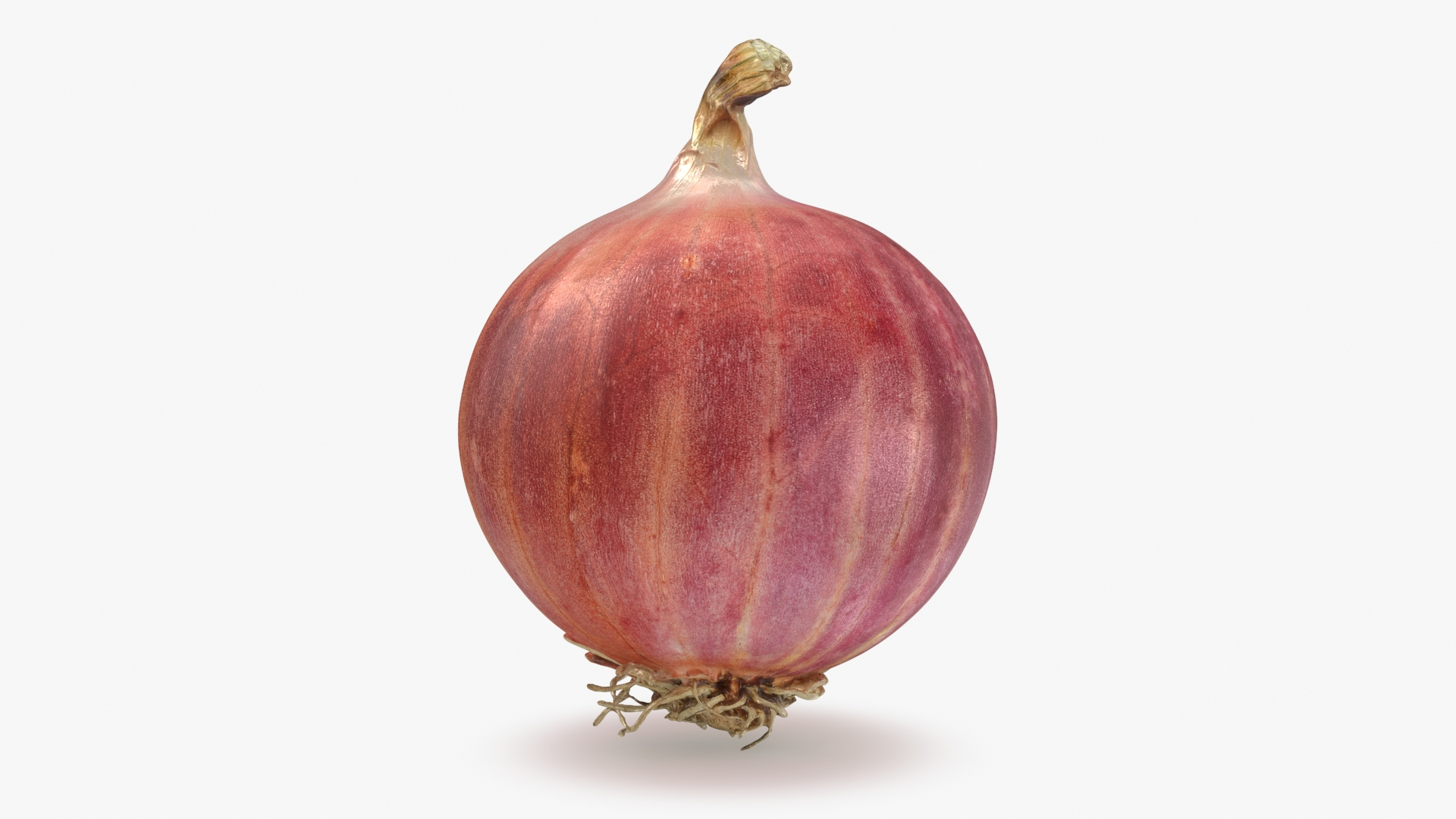 3D Model Shallot Collection - TurboSquid 2210905