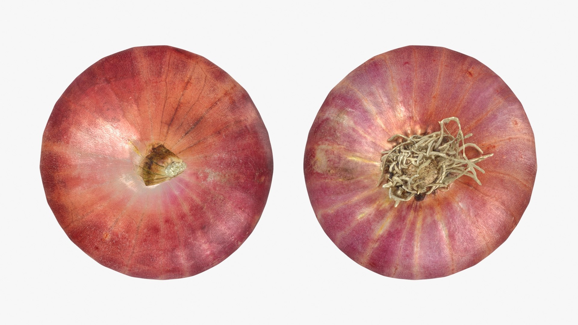 3D Model Shallot Collection - TurboSquid 2210905