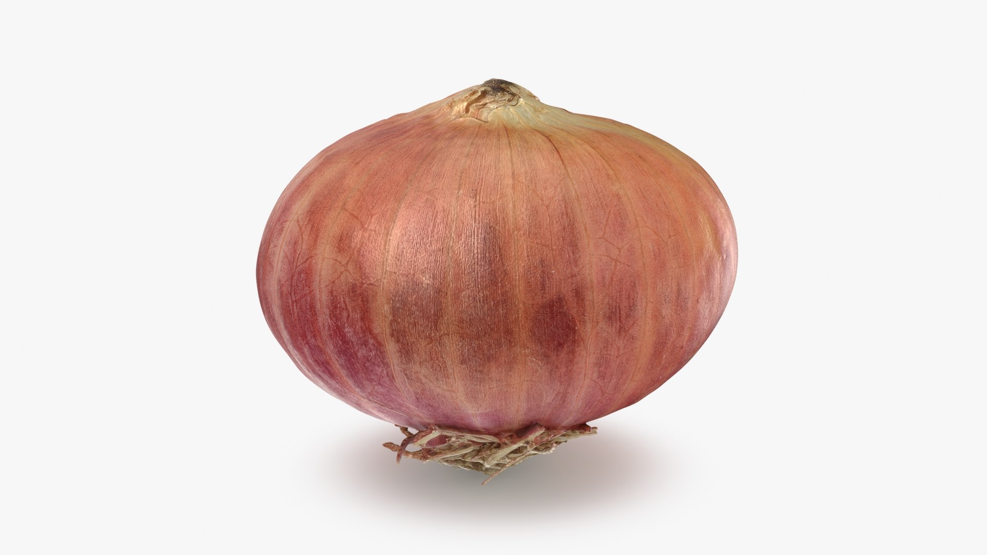 3D Model Shallot Collection - TurboSquid 2210905