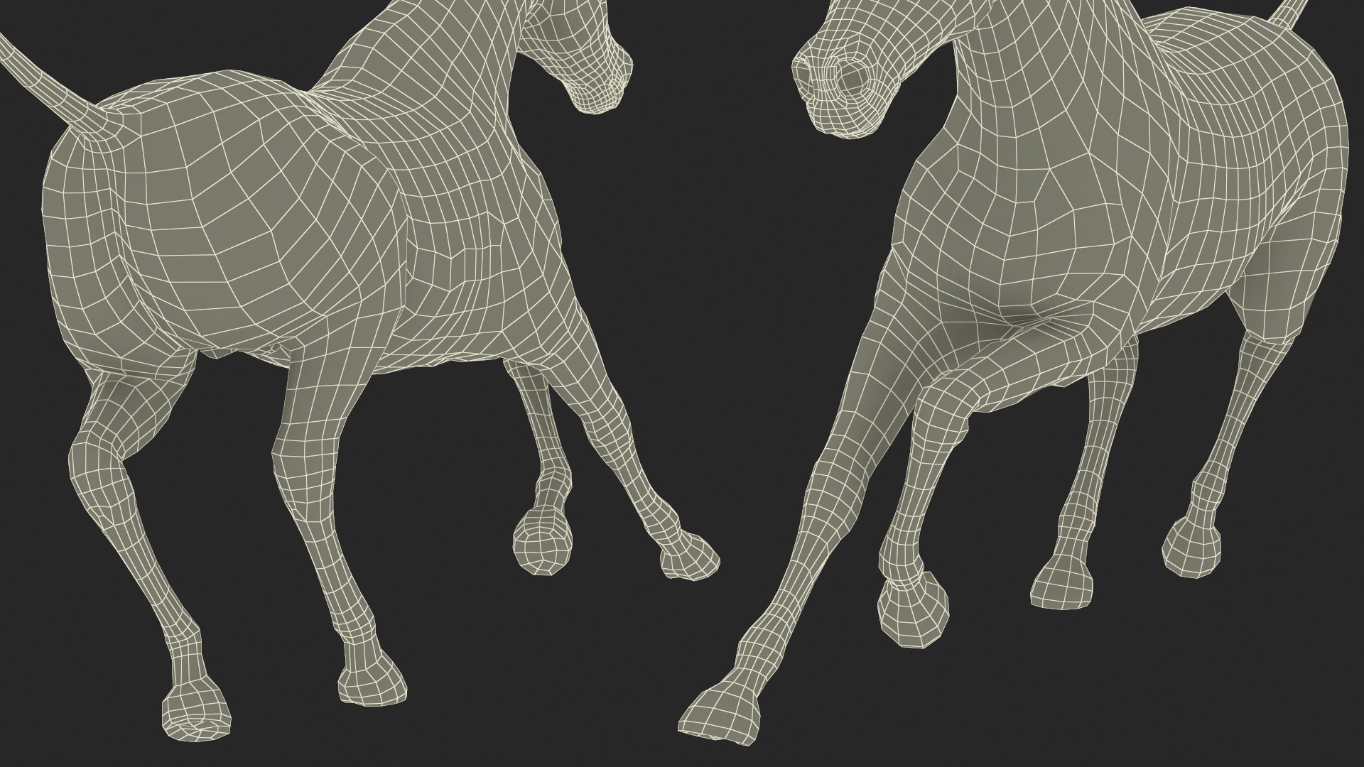 Galloping Arabian Horse Gray Dappled Fur 3D - TurboSquid 2180064
