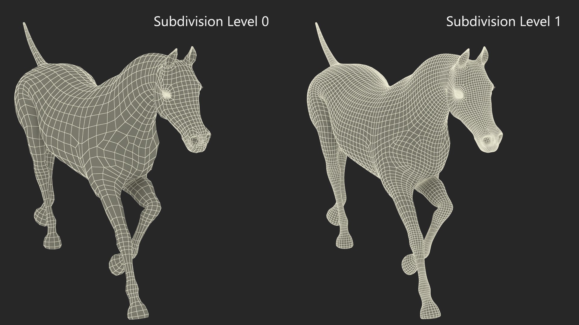 Galloping Arabian Horse Gray Dappled Fur 3D - TurboSquid 2180064