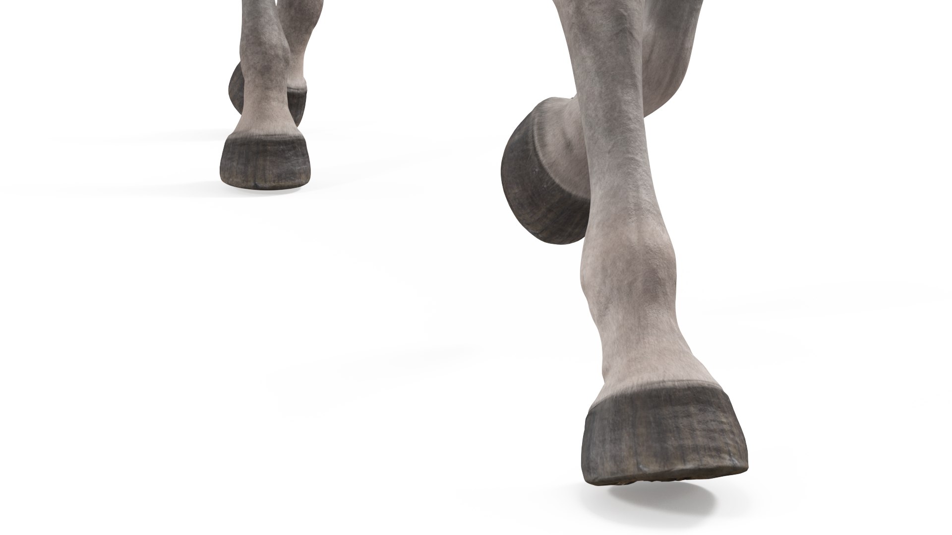 Galloping Arabian Horse Gray Dappled Fur 3D - TurboSquid 2180064