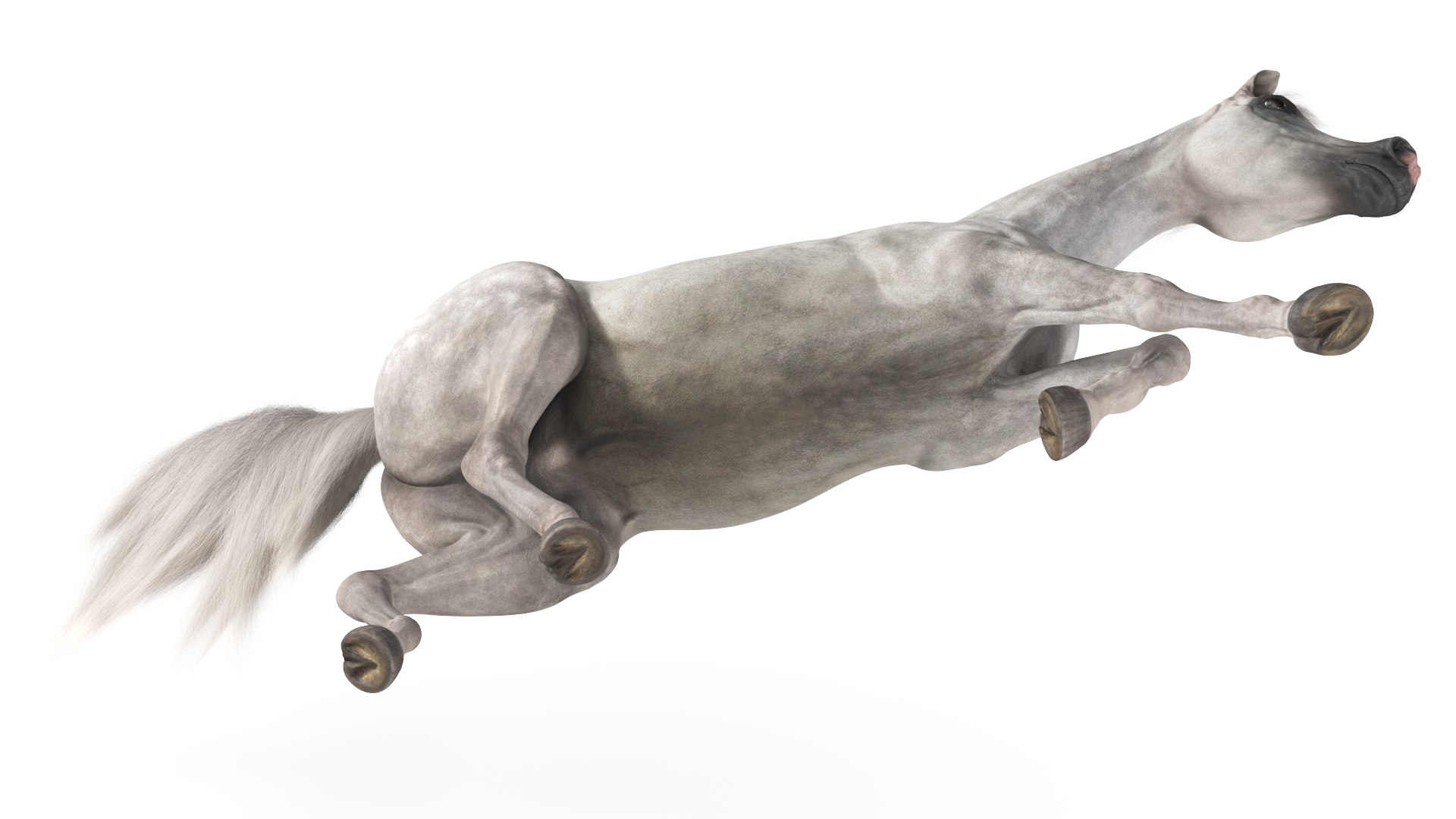 Galloping Arabian Horse Gray Dappled Fur 3D - TurboSquid 2180064