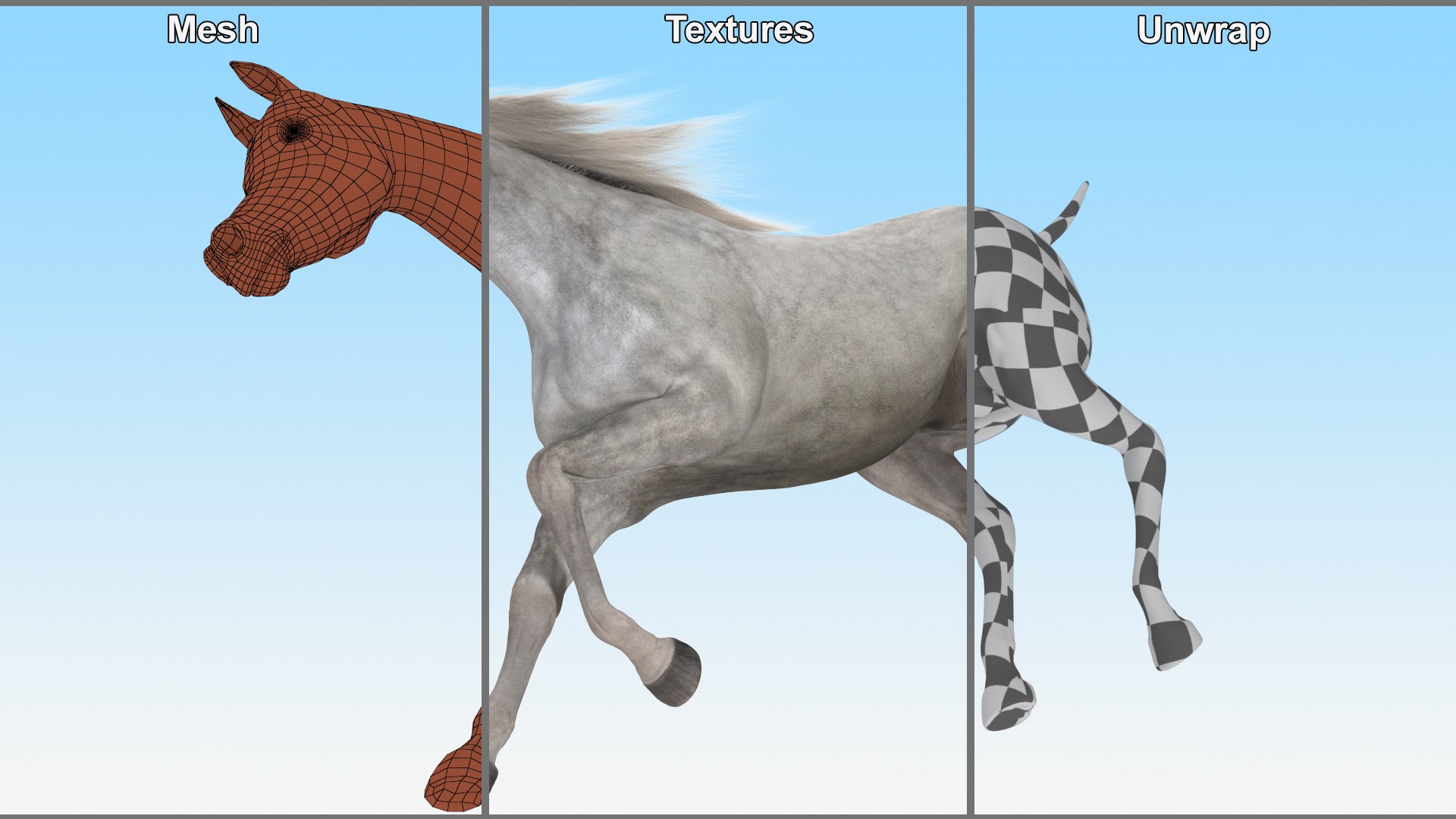 Galloping Arabian Horse Gray Dappled Fur 3D - TurboSquid 2180064